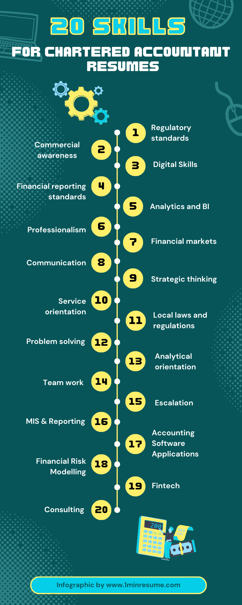 20 skills for Chartered Accountant Resumes (with examples)